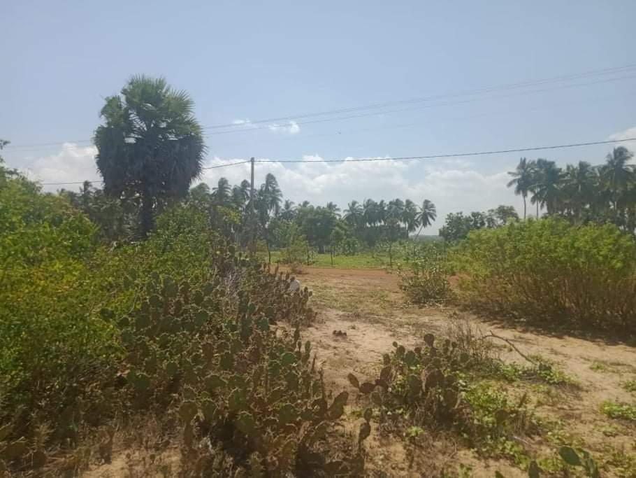 A land in the most Eastern Point of Sri Lanka? The mythical ...