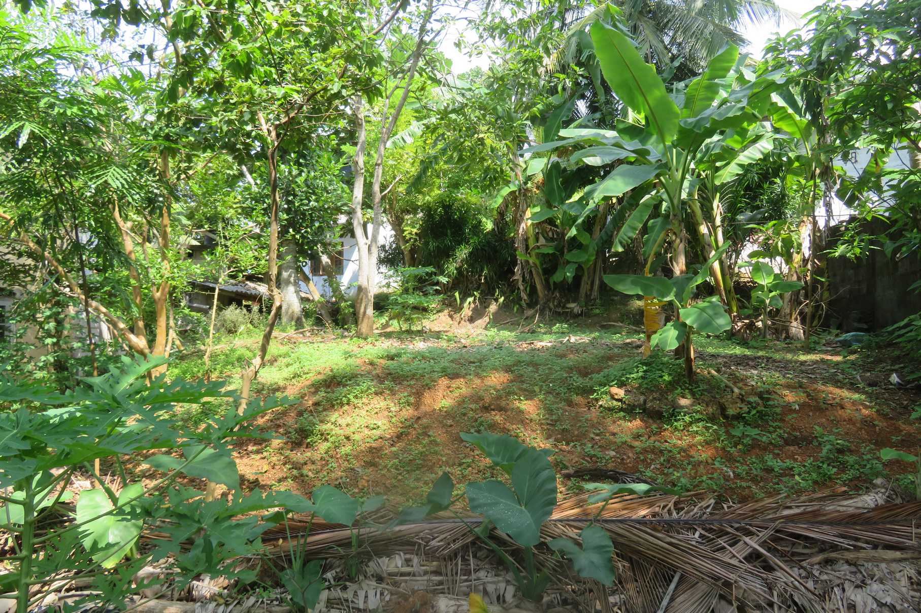 Maggona Beachside House for sale: 32 perches to check out! - Buy, Rent ...